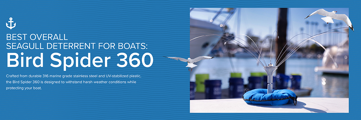 5 Best Seagull Deterrent for Boats - Bird B Gone LLC