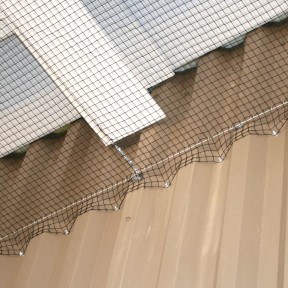 A Bird Netting Buyers Guide: [Quick and Easy] Tips to Choose the Right ...